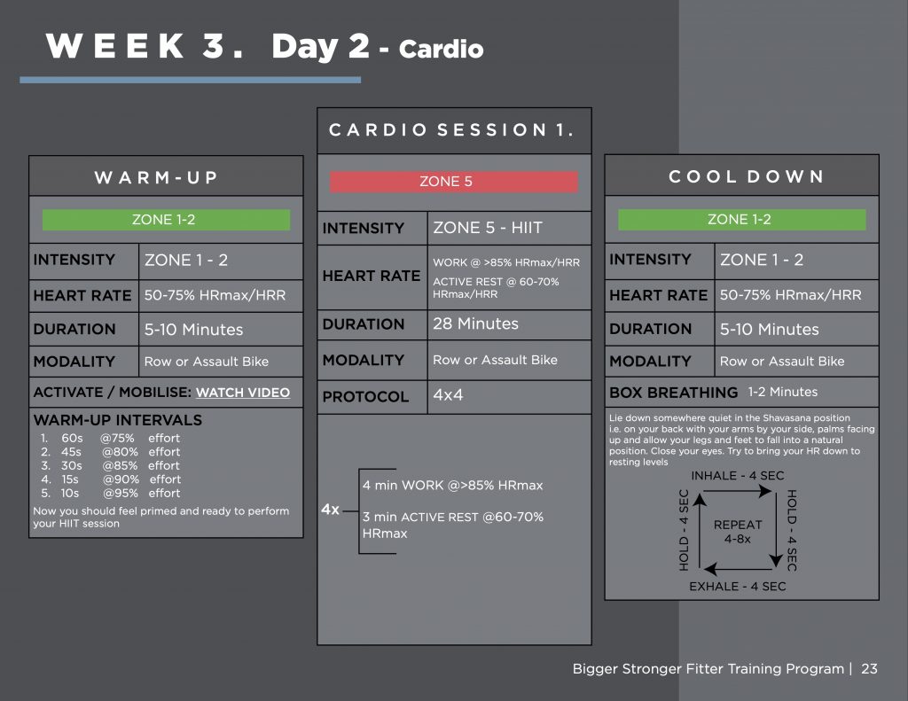 BIGGER STRONGER FITTER | eBook + Training Programs | Drew's Daily Dose